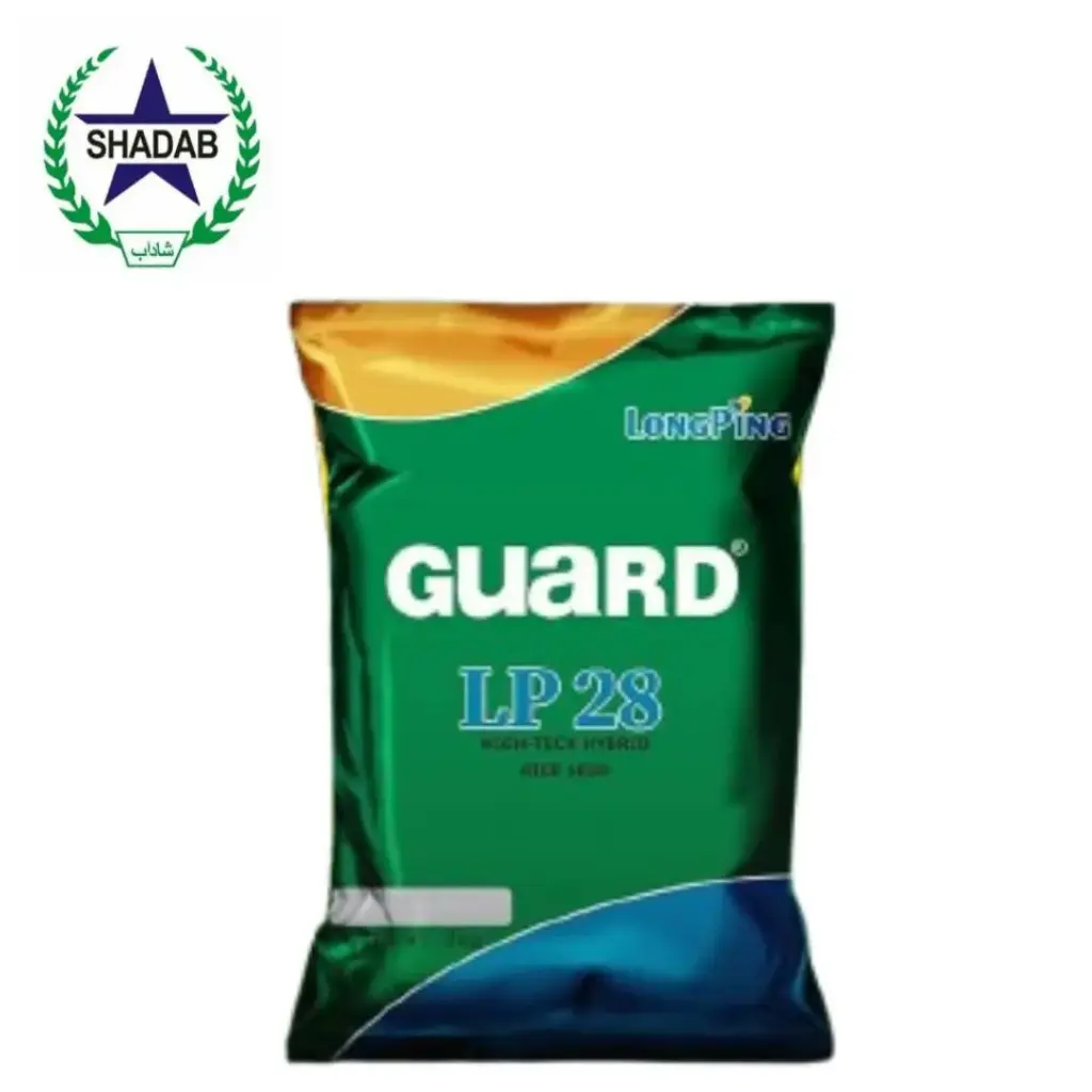 GUARD LP 28 RICE SEED – High Yield & Disease Resistant Hybrid